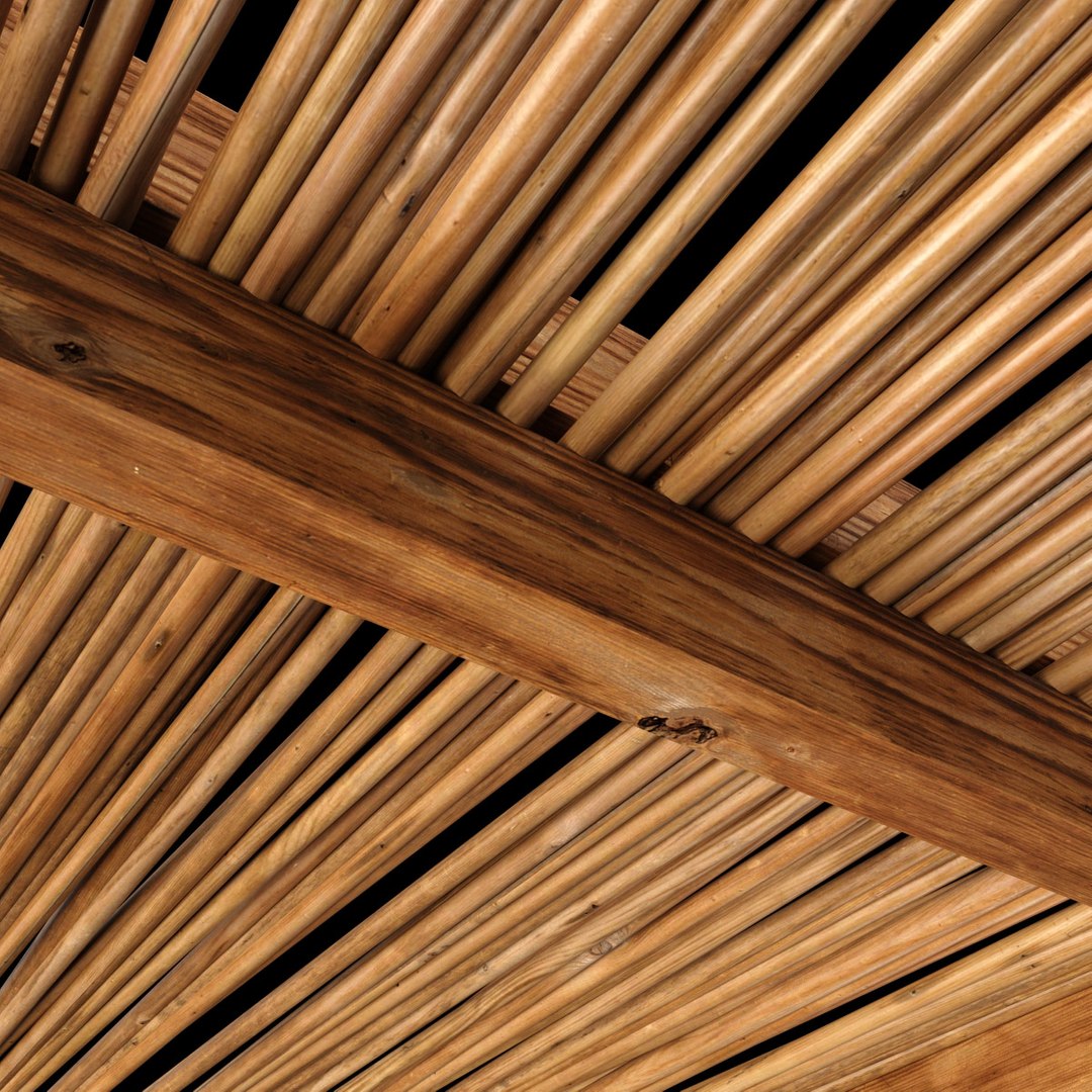 Ceiling Straight Thin Branch N4 Model - TurboSquid 1939640