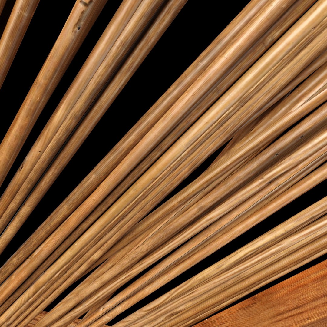 Ceiling Straight Thin Branch N4 Model - TurboSquid 1939640