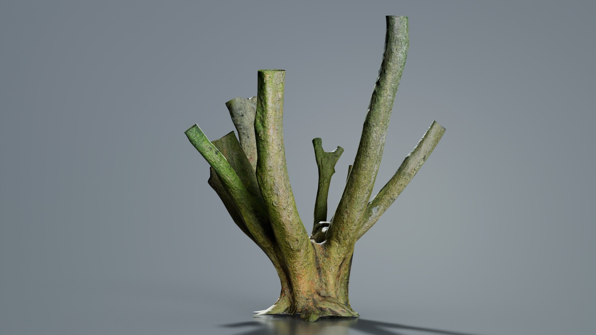Wide Base With Offshoots Tree Trunk Remastered Model - TurboSquid 2363184