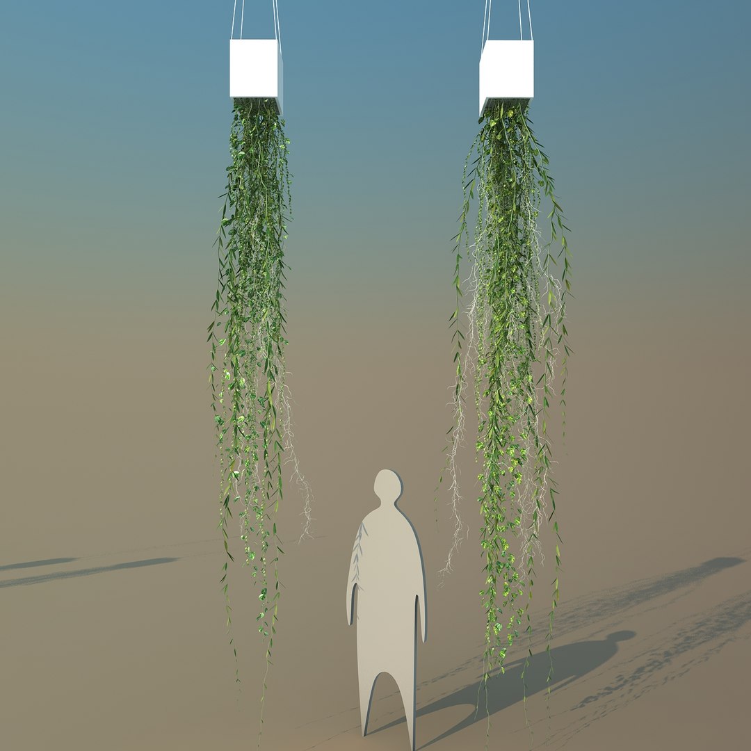 3D 2 Plants Tree - TurboSquid 1254312