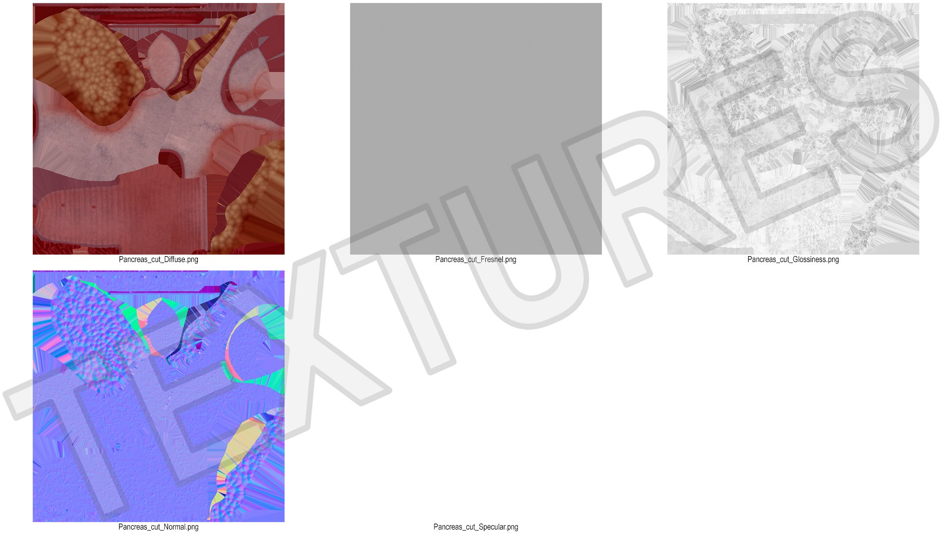 Human Pancreas Cut 3D Model - TurboSquid 2252242