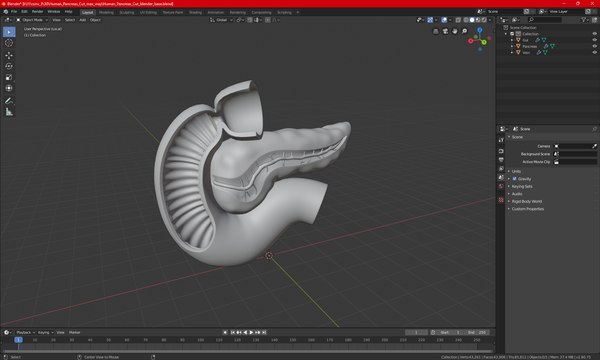 modelo 3d Corte de páncreas humano - TurboSquid 2252242