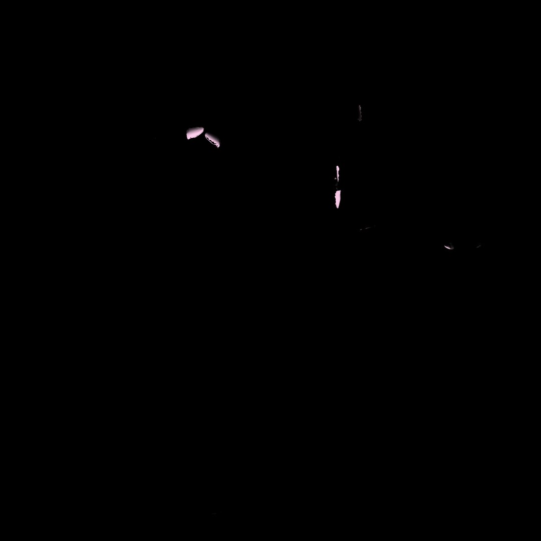 3D Domestic Black Cat 001 - TurboSquid 2141370