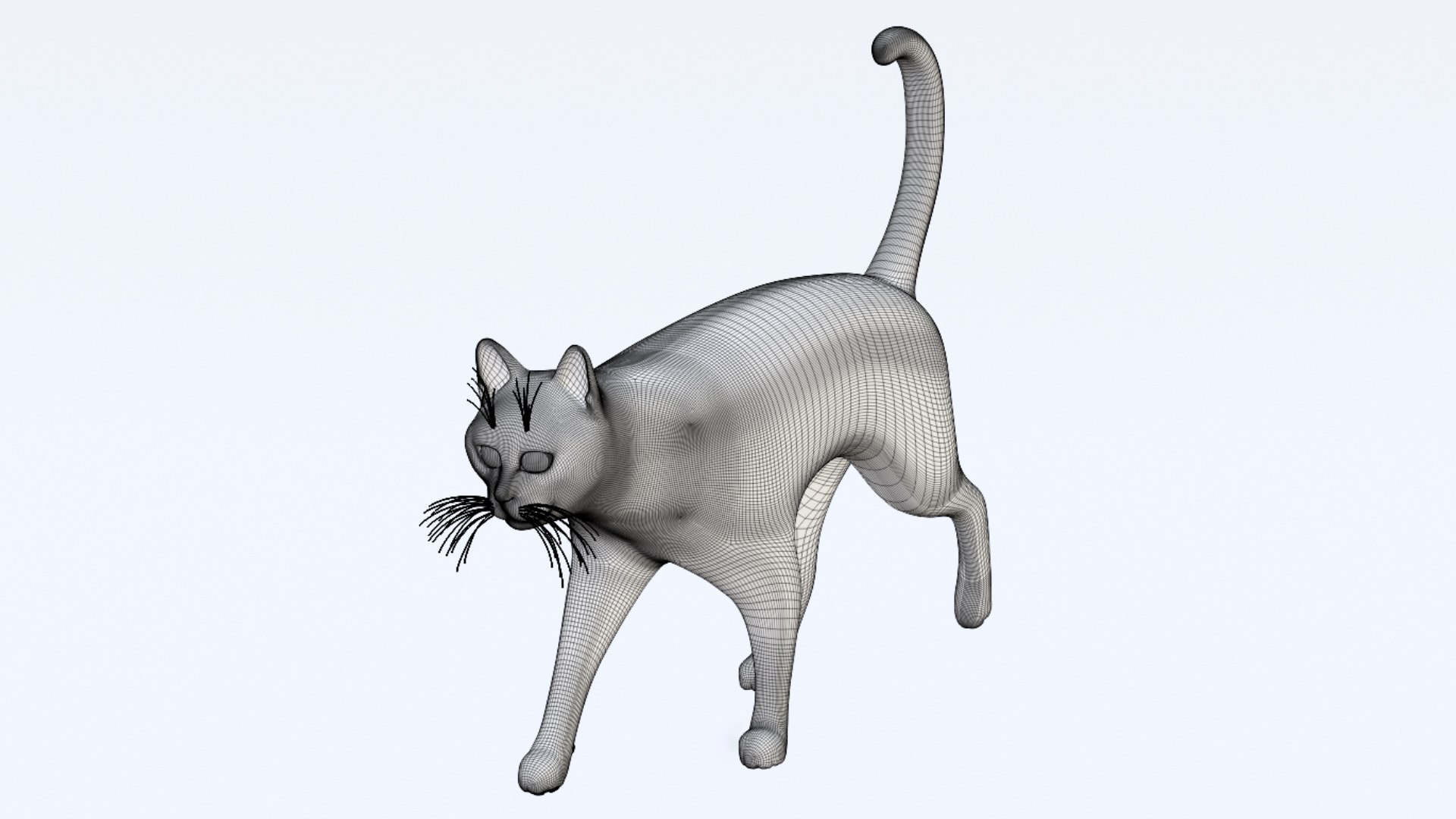3D Domestic Black Cat 001 - TurboSquid 2141370