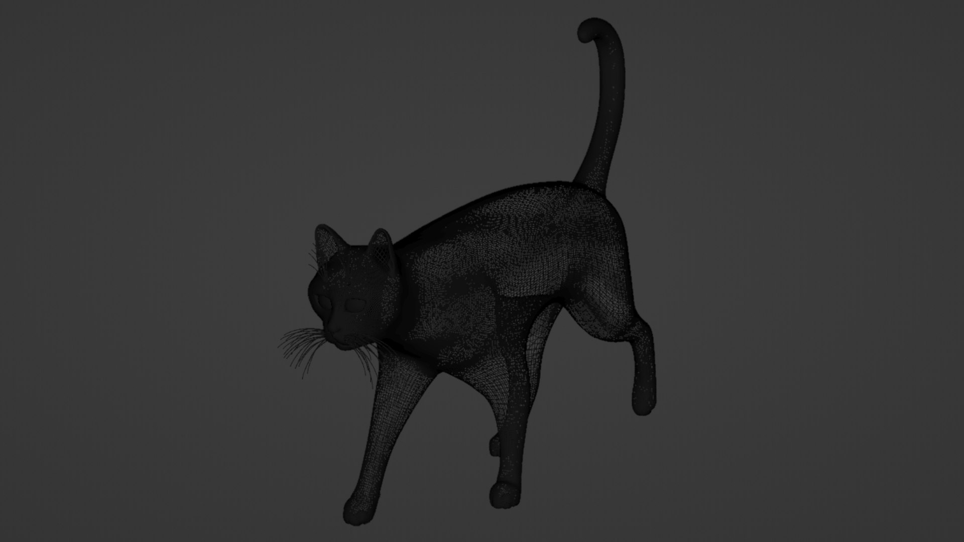3D Domestic Black Cat 001 - TurboSquid 2141370