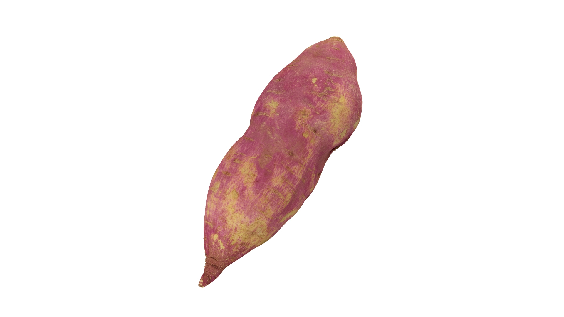 Purple Sweet Potato - Extreme Definition 3D Scanned 3D model ...