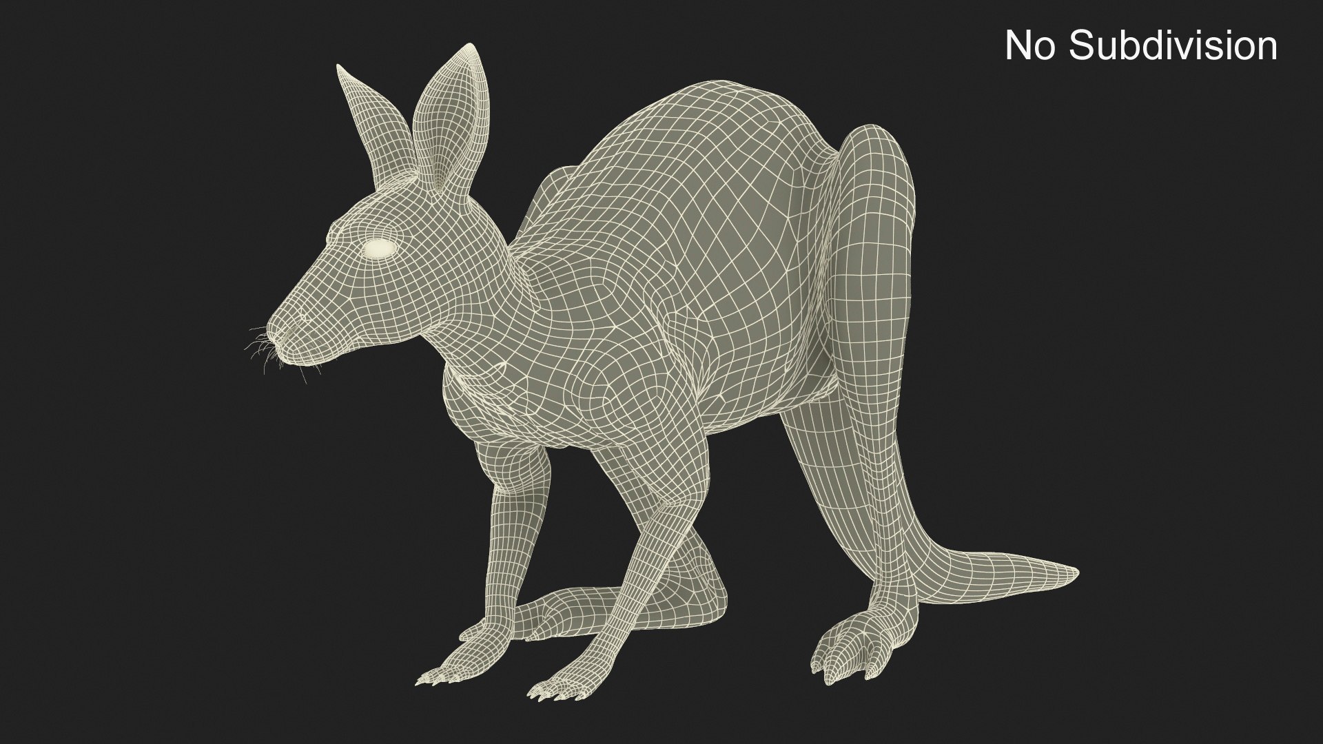 Kangaroo Stands On Four Paws 3D - TurboSquid 2243056