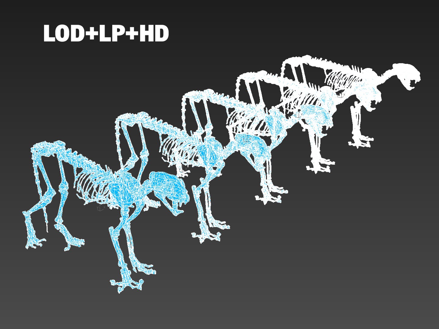 3D Skeletons Animals Hd - TurboSquid 1573553