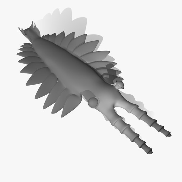 rigged anomalocaris 3d model