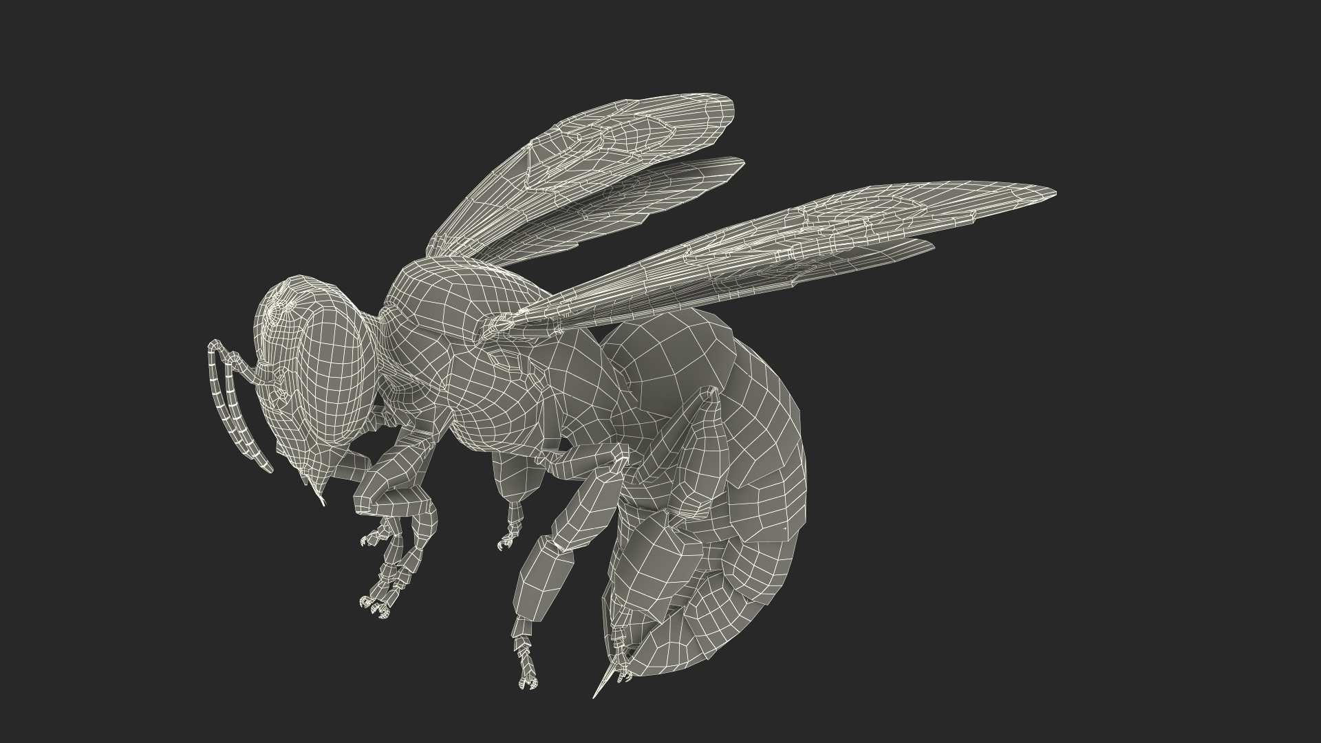 Honeybee Fur 3D Model - TurboSquid 2347119
