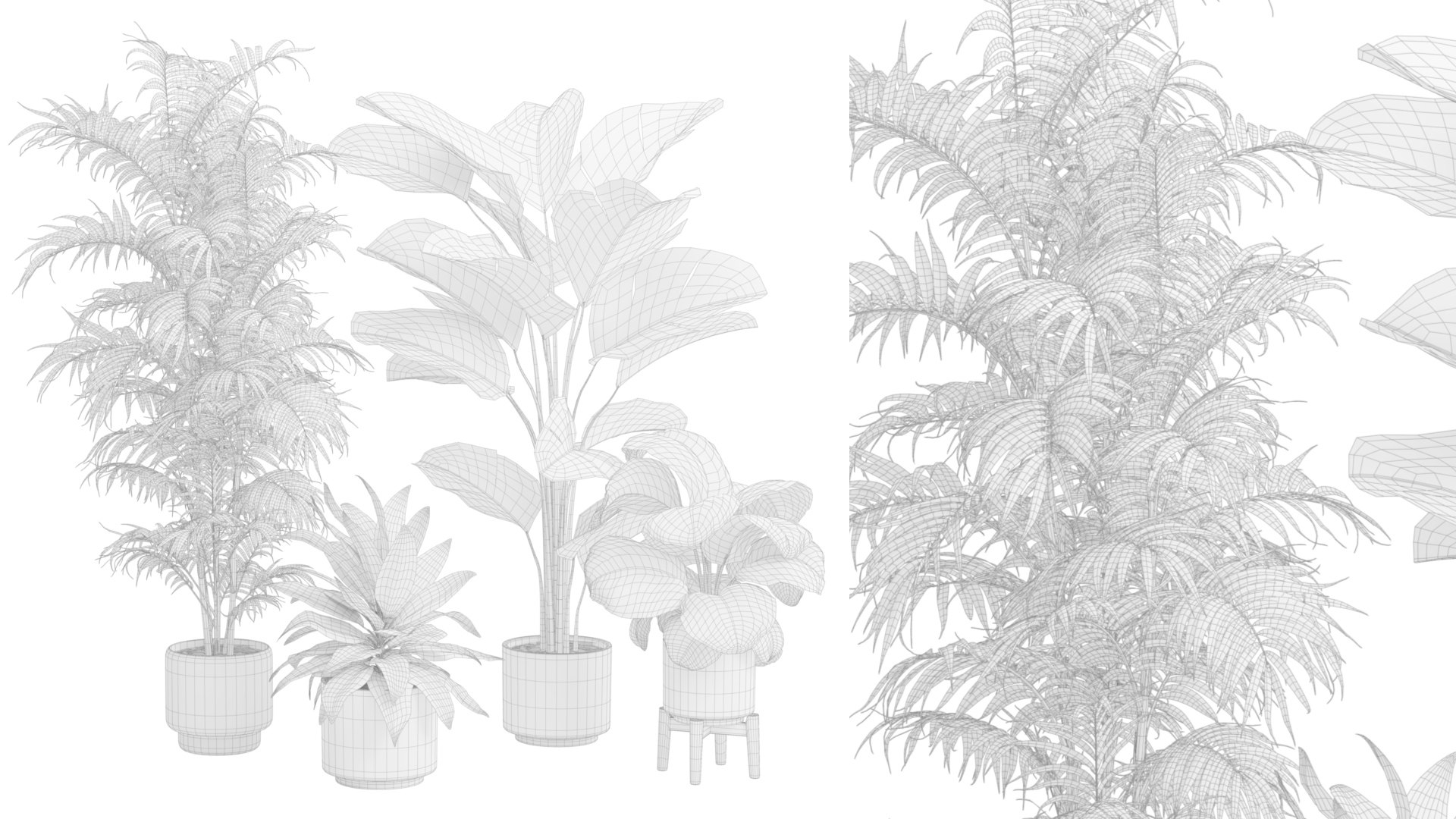 Indoor Plants Pack 54 3D - TurboSquid 2102256