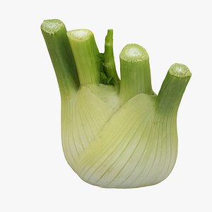 3D Fennel Models - Browse & Download Formats - TurboSquid