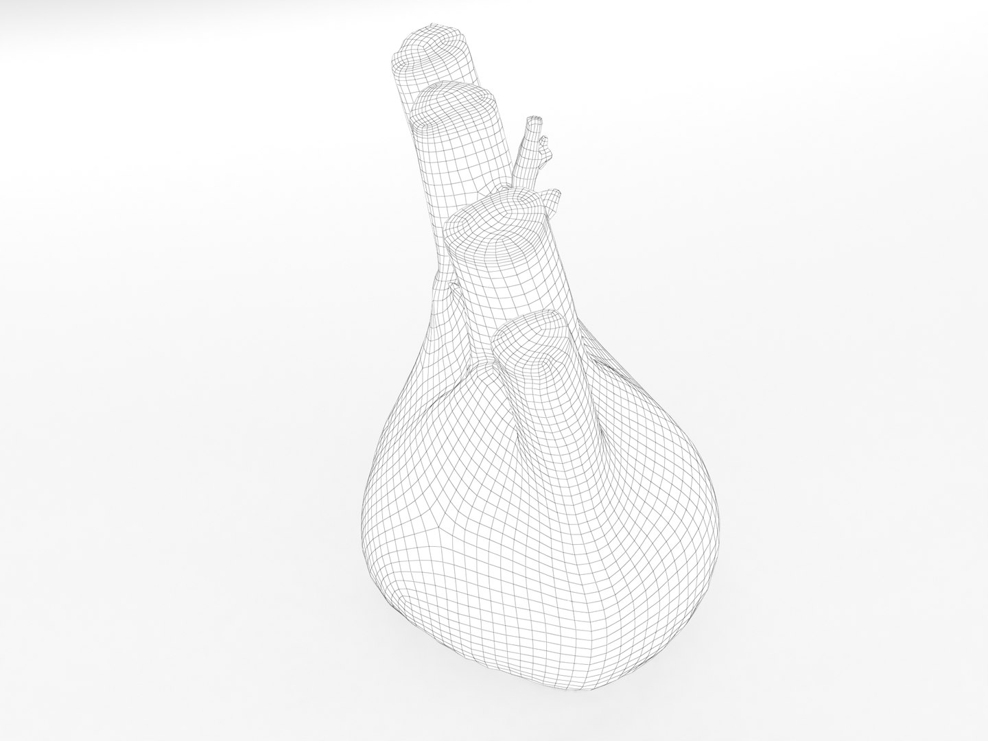 Fennel Bulb 3D Model - TurboSquid 1448476