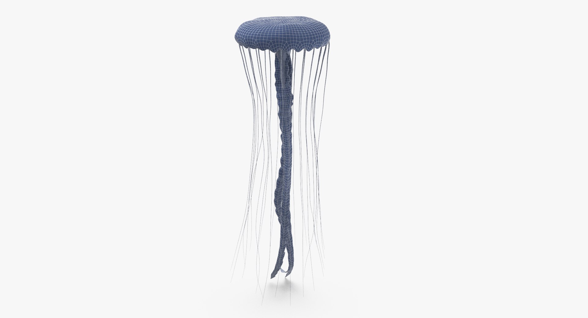 Jellyfish 02 3d Max