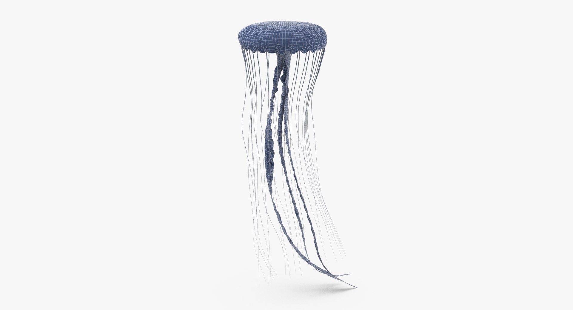 Jellyfish 02 3d Max