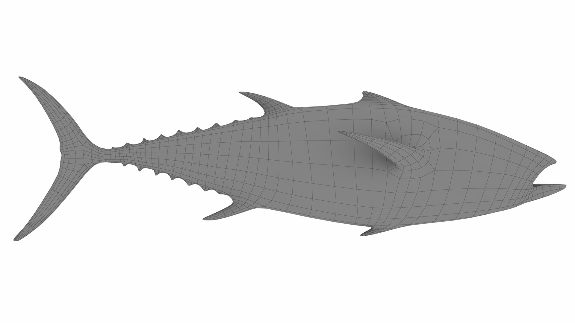 3D Tuna Fish - TurboSquid 2383422