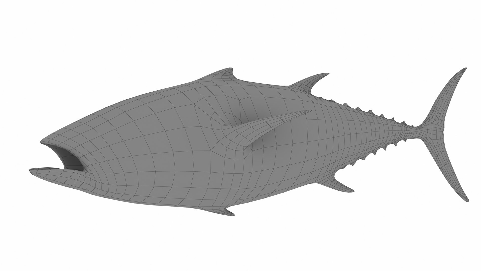 3D Tuna Fish - TurboSquid 2383422