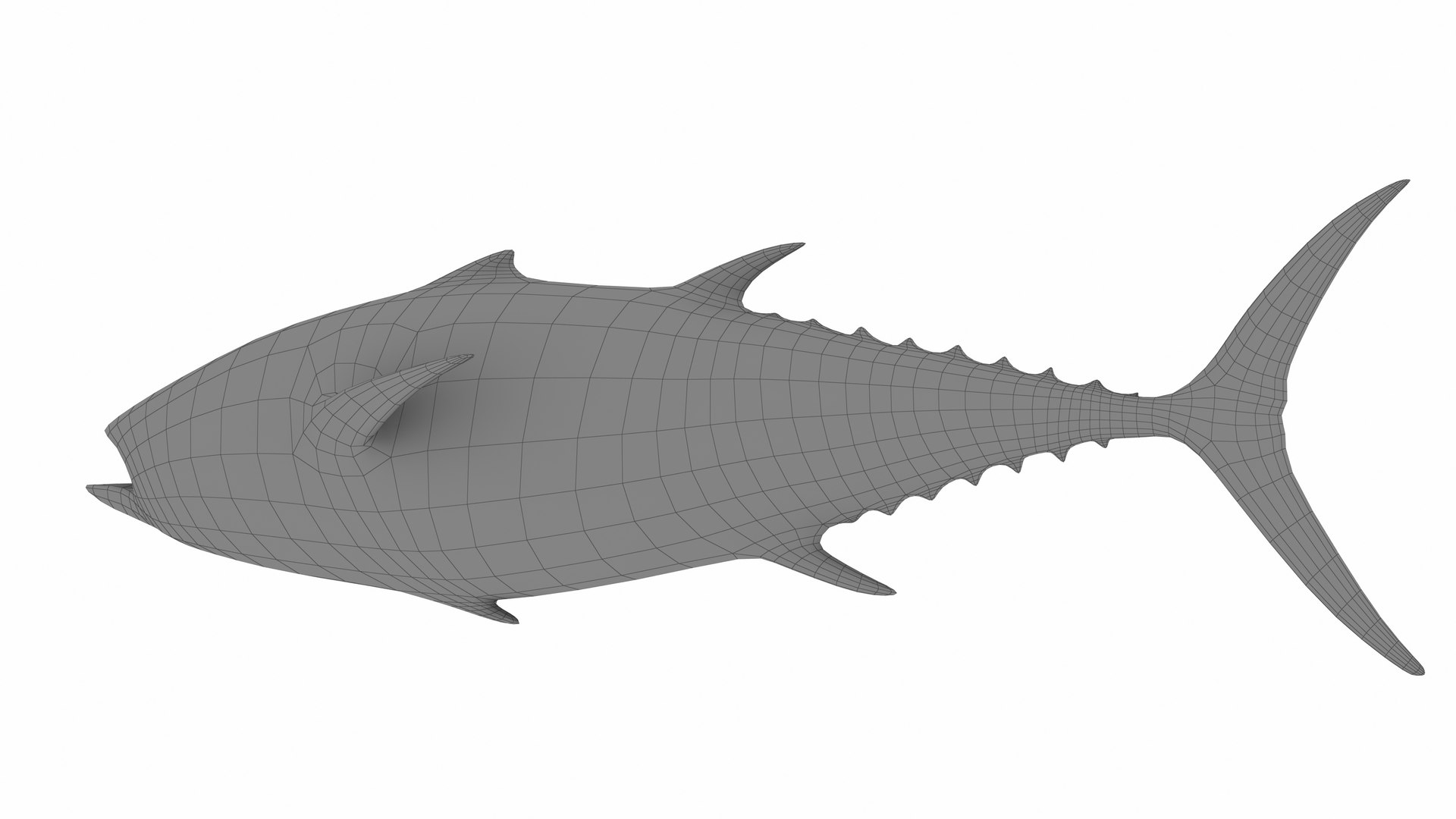 3D Tuna Fish - TurboSquid 2383422