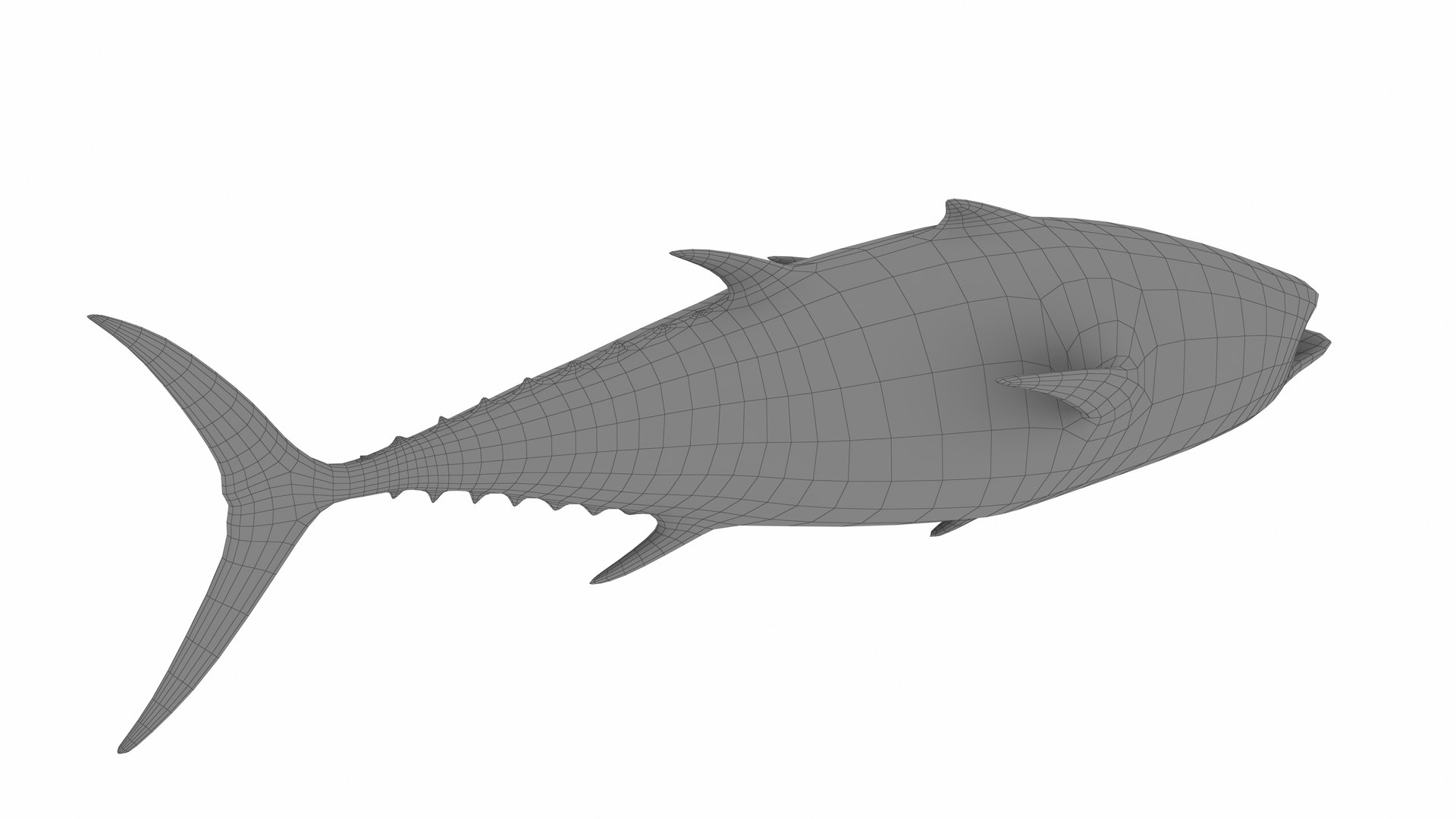 3D Tuna Fish - TurboSquid 2383422
