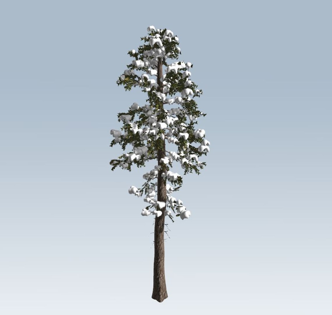 Tree winter fir 3D model - TurboSquid 1367283