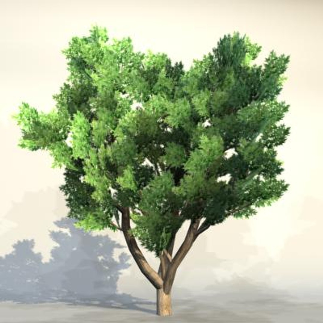 3ds max pc tree
