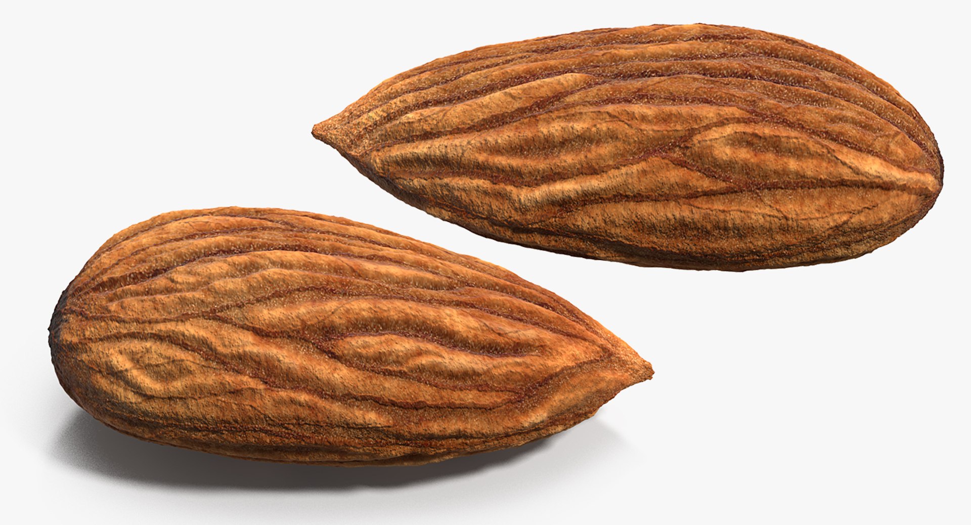 3D Raw Almond Model - TurboSquid 1426296