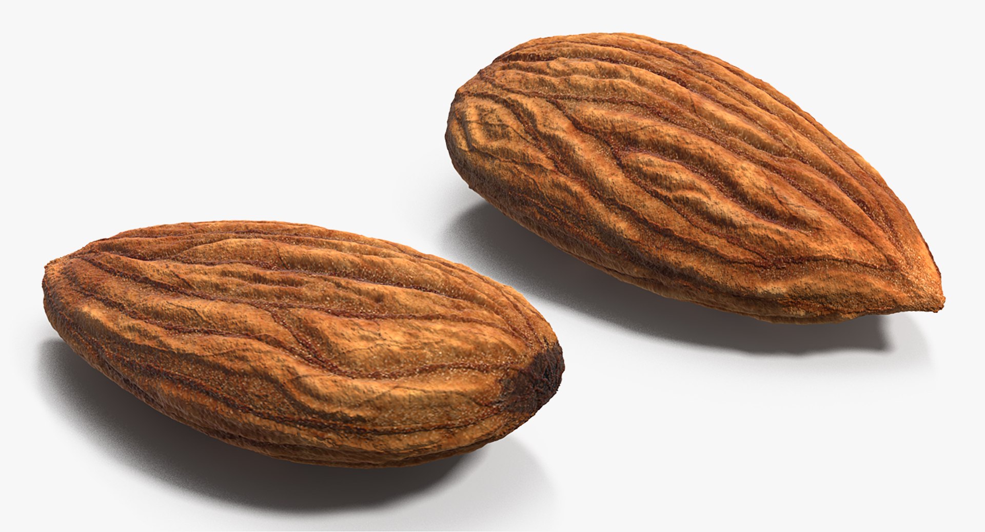 3D Raw Almond Model - TurboSquid 1426296