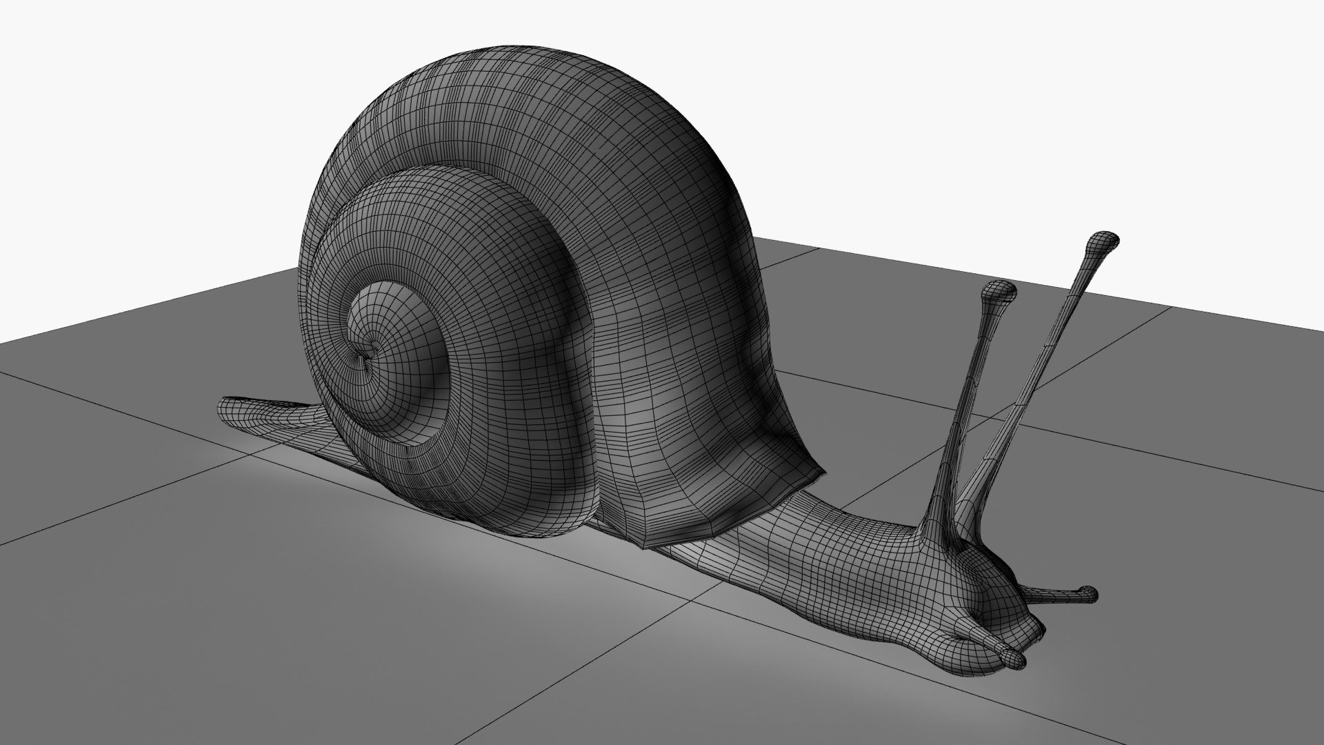 Snail Model - TurboSquid 1946182