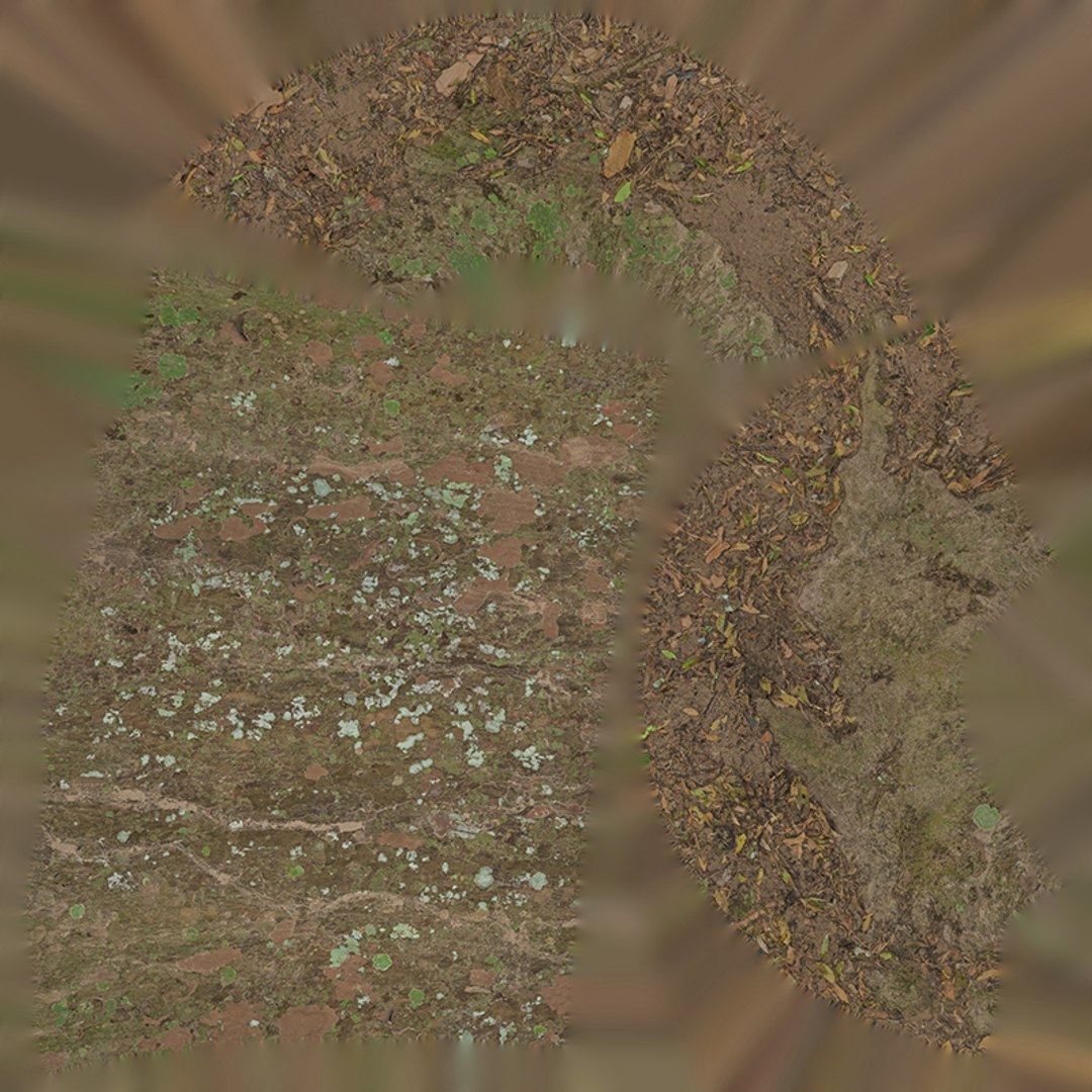 Anydrafts Podocarpus Nagi Trunk 01 3D Model - TurboSquid 2321930