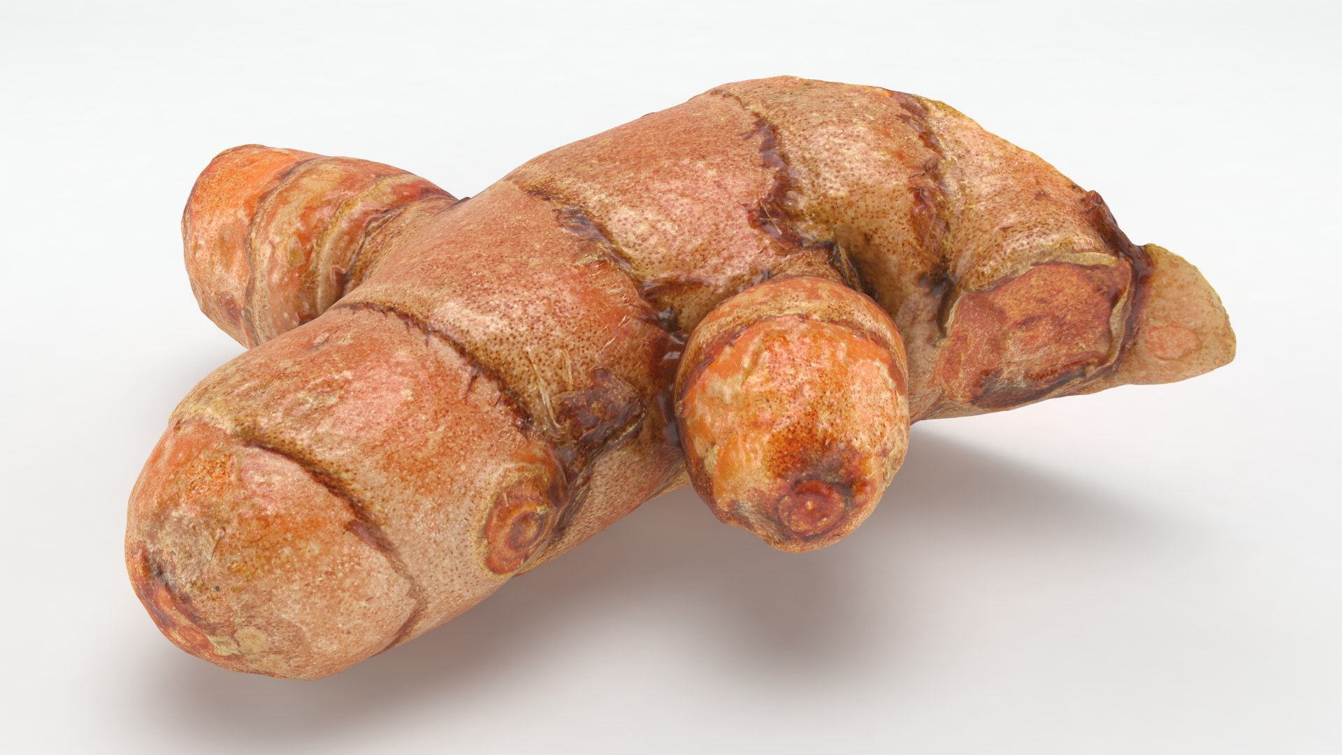 Turmeric Cut V1 3D Model - TurboSquid 1852525