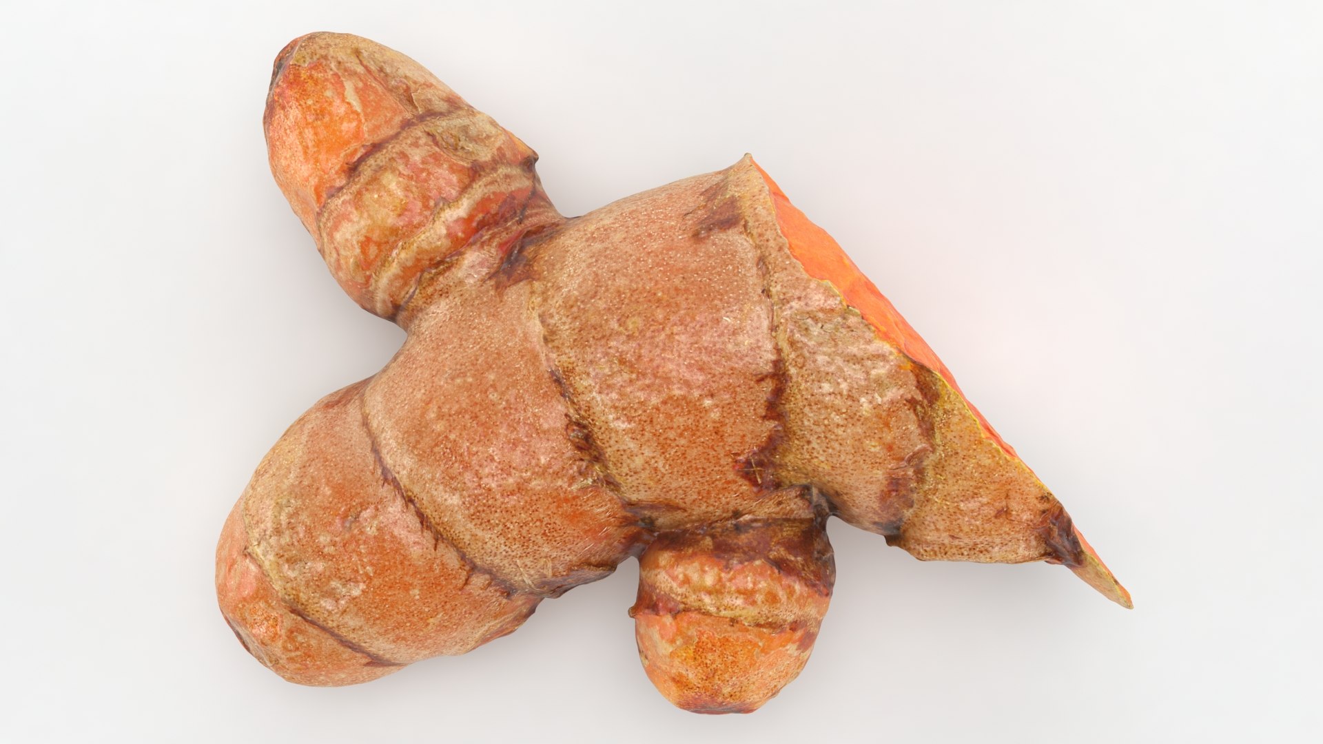 Turmeric Cut v1 3D model - TurboSquid 1852525