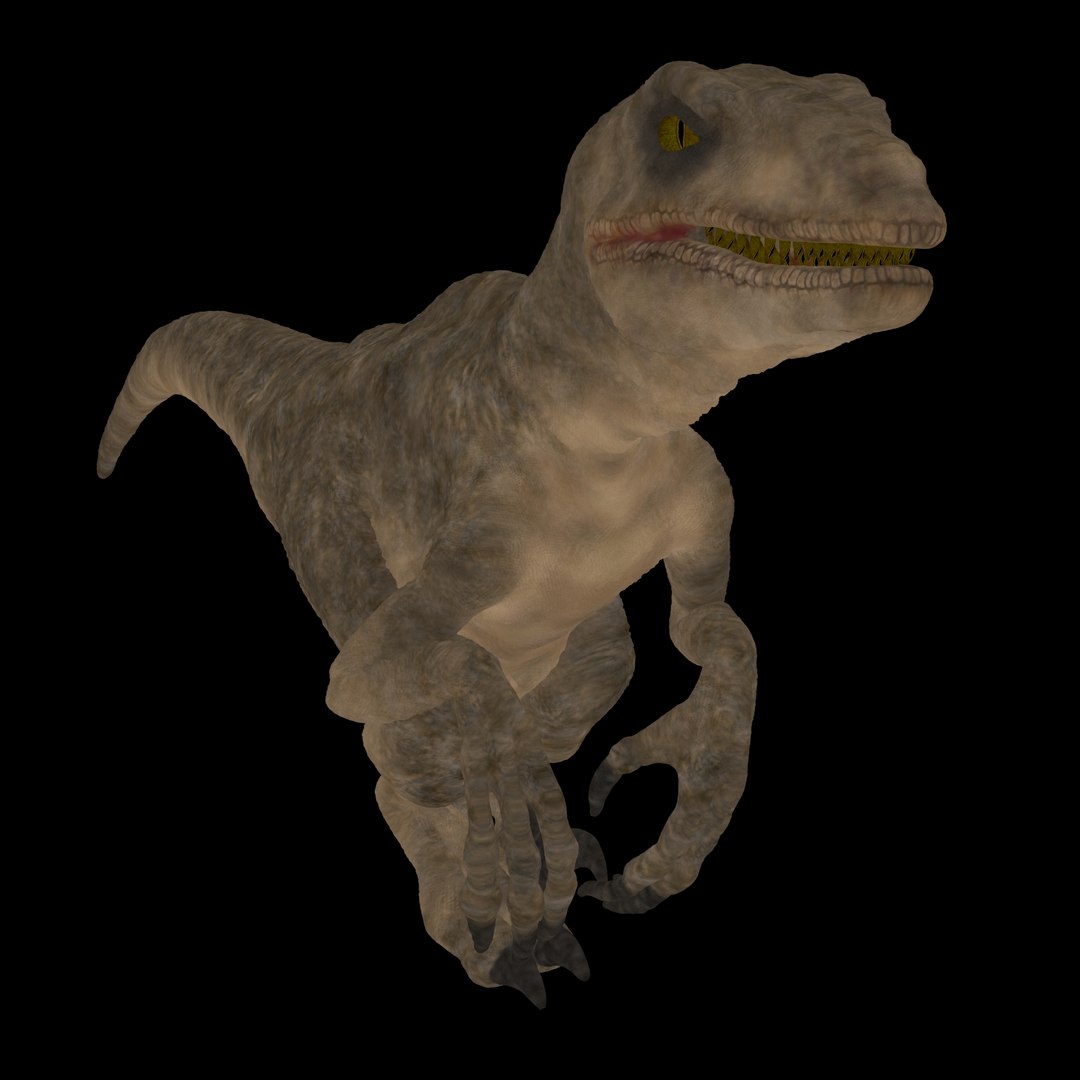 Velociraptor Raptor 3D - TurboSquid 1480427