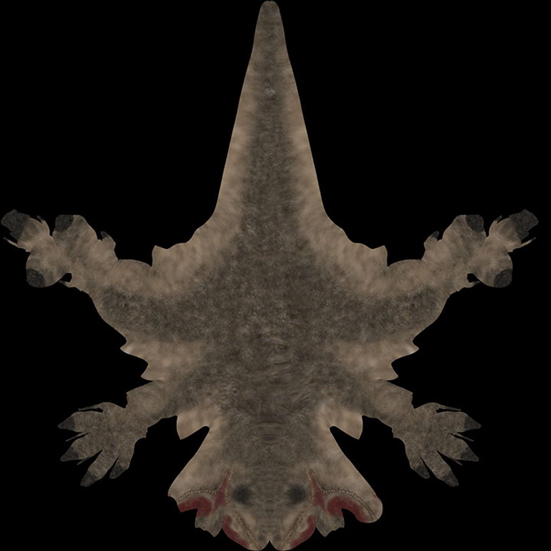 Velociraptor raptor 3D - TurboSquid 1480427