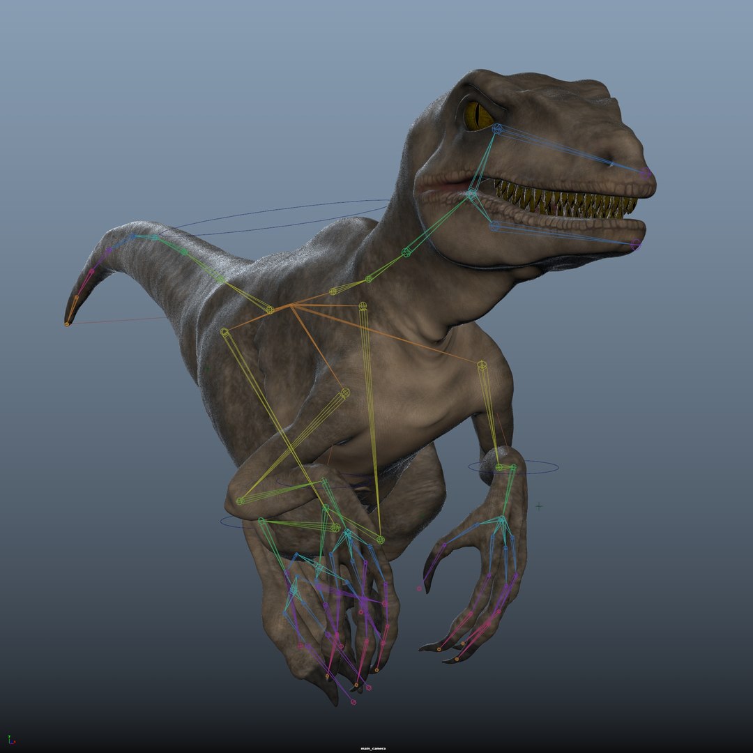 Velociraptor Raptor 3D - TurboSquid 1480427