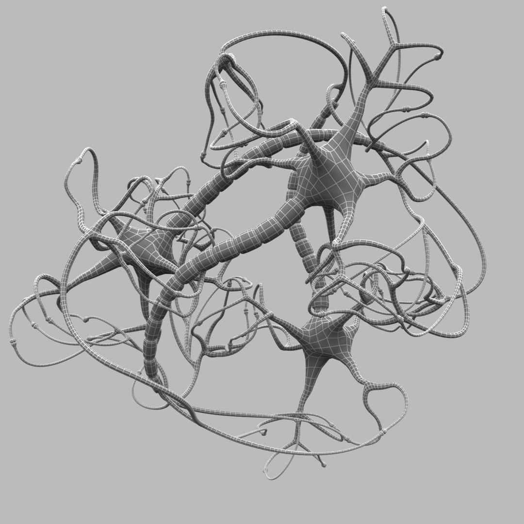 3d Neural Neurons Model