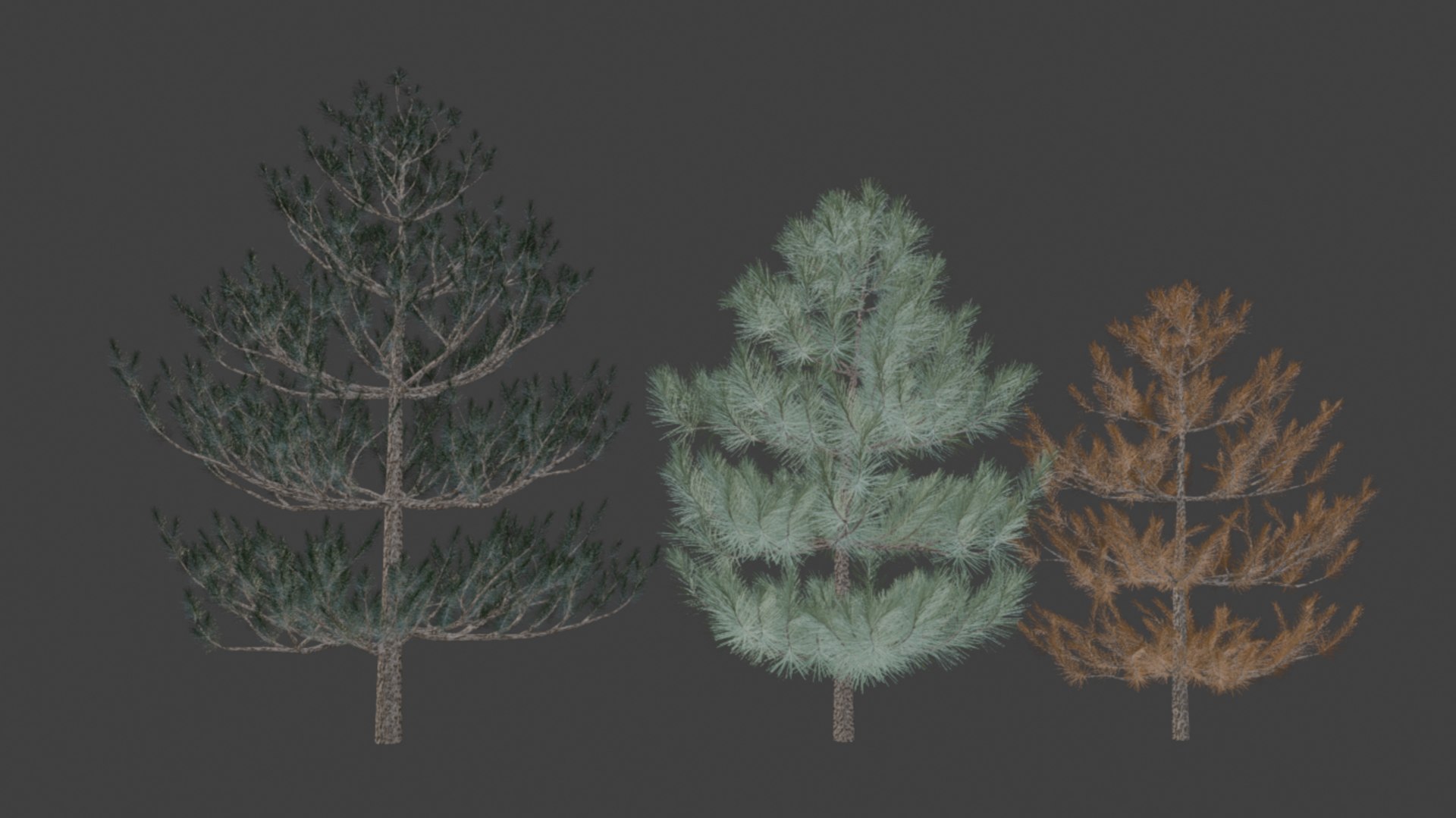 Pine Trees 3D Model - TurboSquid 2359657