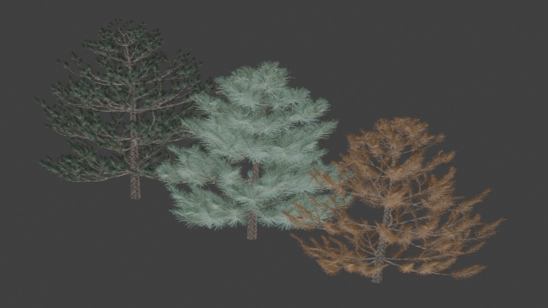 Pine Trees 3D Model - TurboSquid 2359657