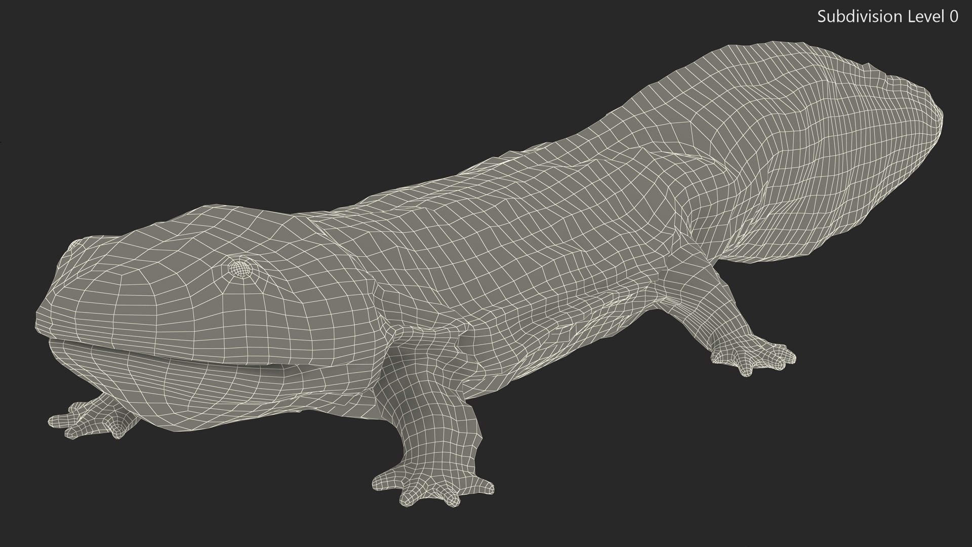 3D Salamander Dark Wet - TurboSquid 2232367