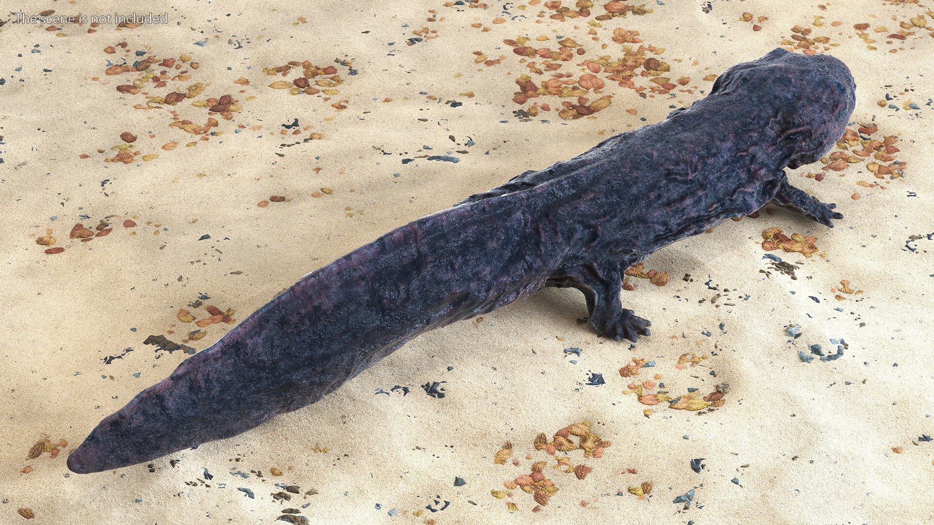 3D Salamander Dark Wet - TurboSquid 2232367