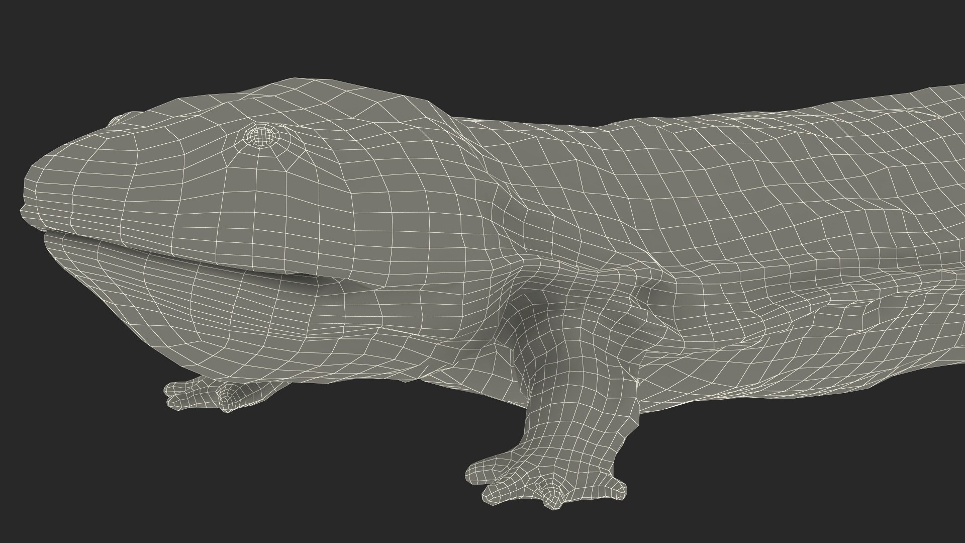 3D Salamander Dark Wet - TurboSquid 2232367