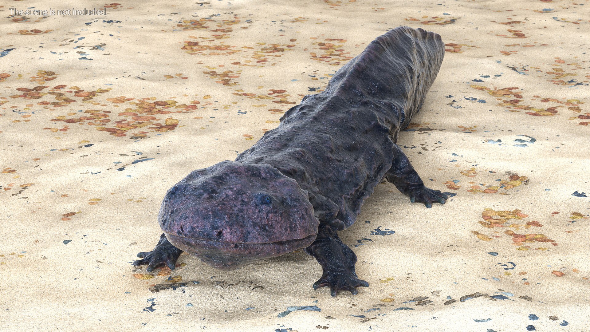 3D Salamander Dark Wet - TurboSquid 2232367