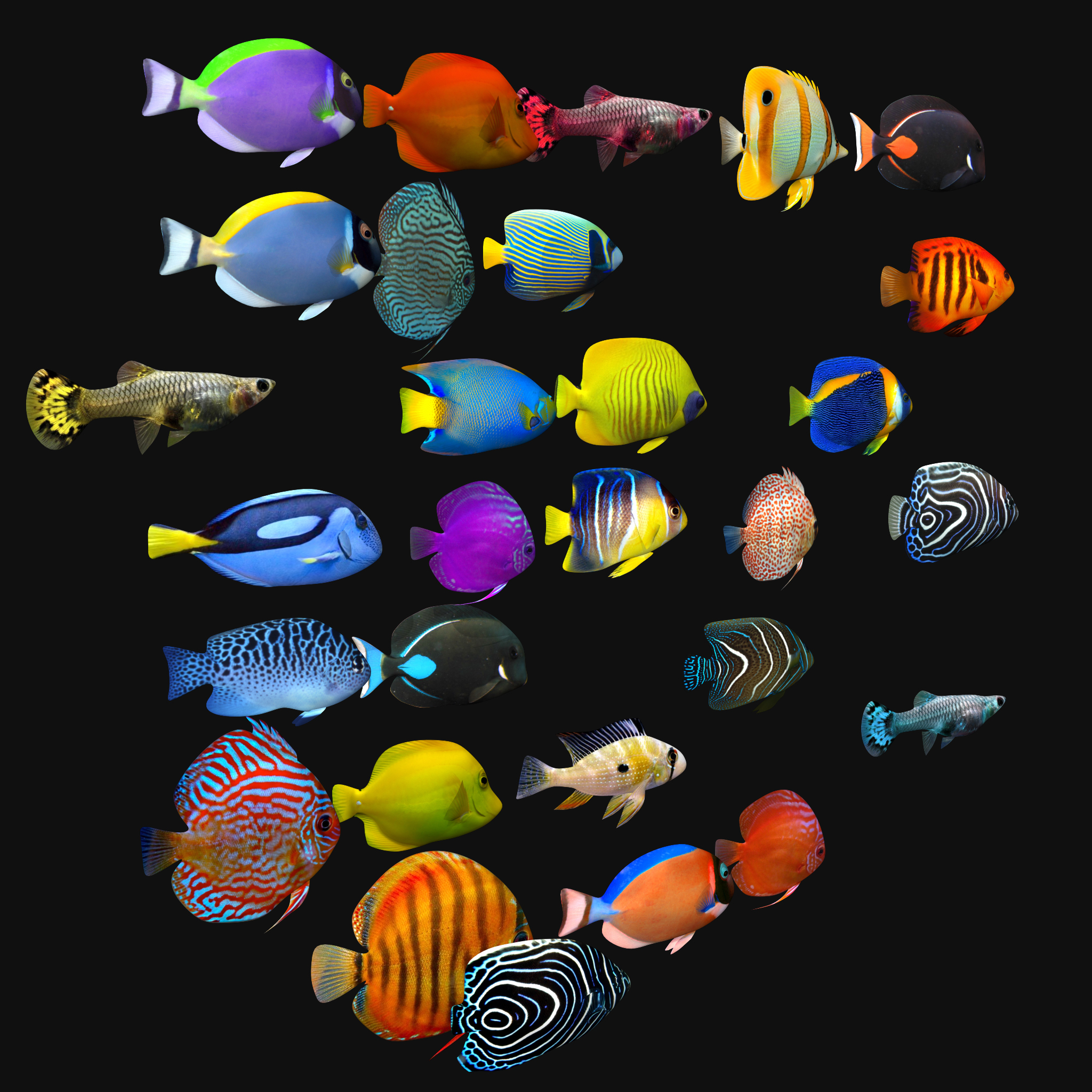 3D fish aquarium model - TurboSquid 1255203