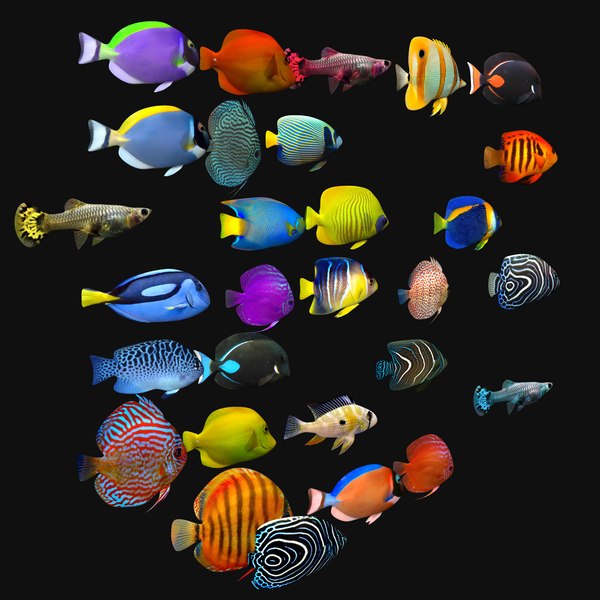 3D fish aquarium model - TurboSquid 1255203