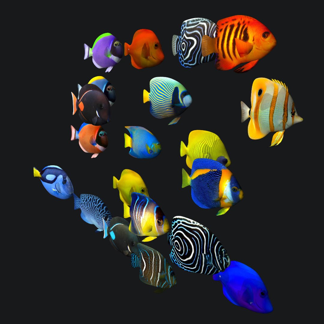 3D fish aquarium model - TurboSquid 1255203