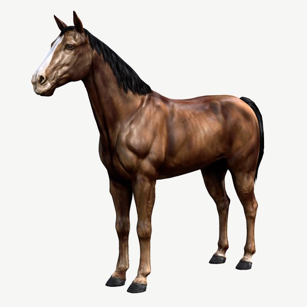 3d model horse rider