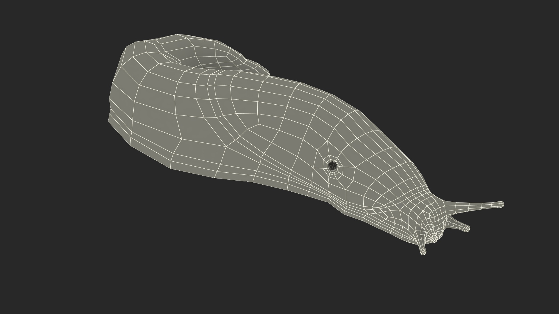 Slug Arion Lusitanicus Crawling Model - TurboSquid 2016279