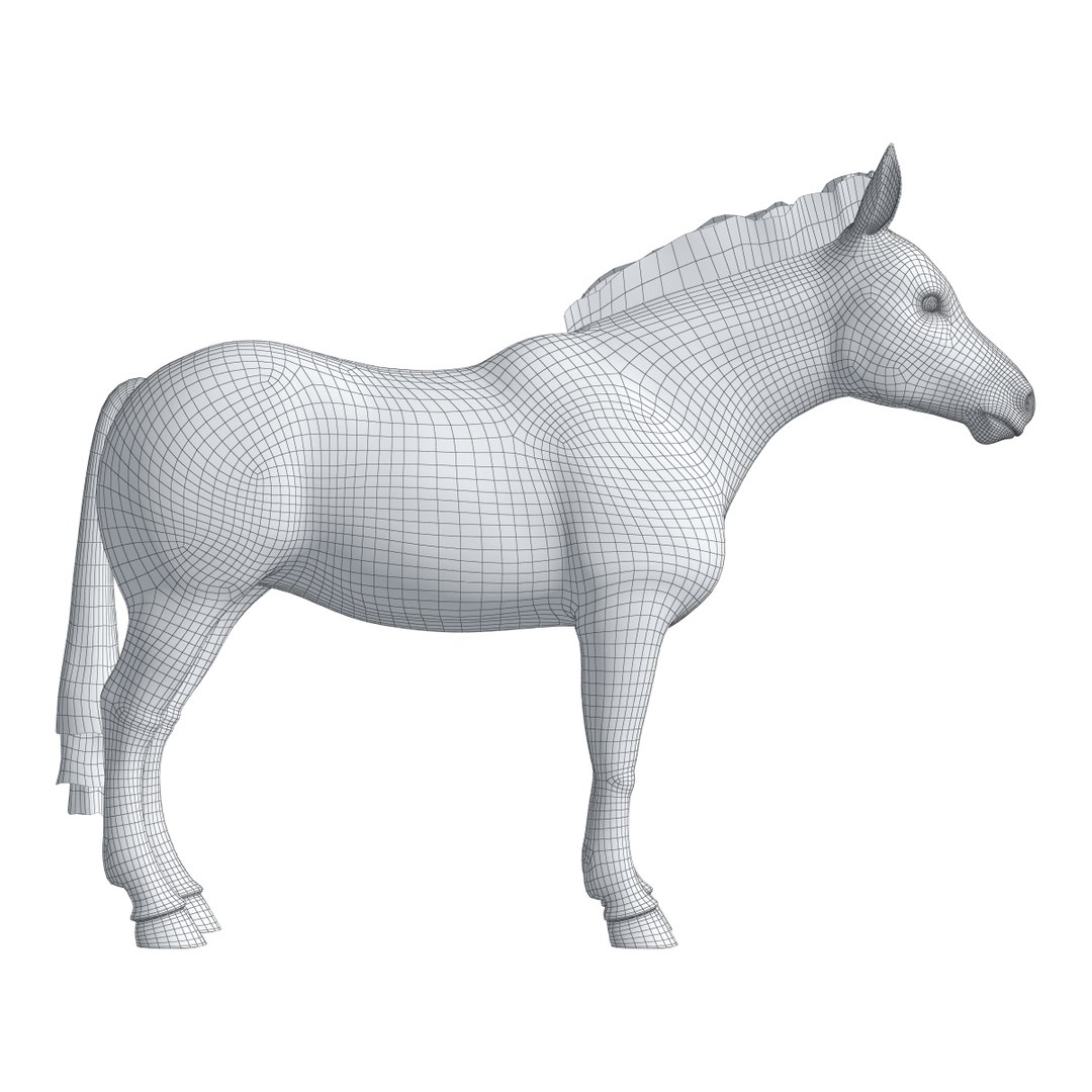 Zebra 3d Model