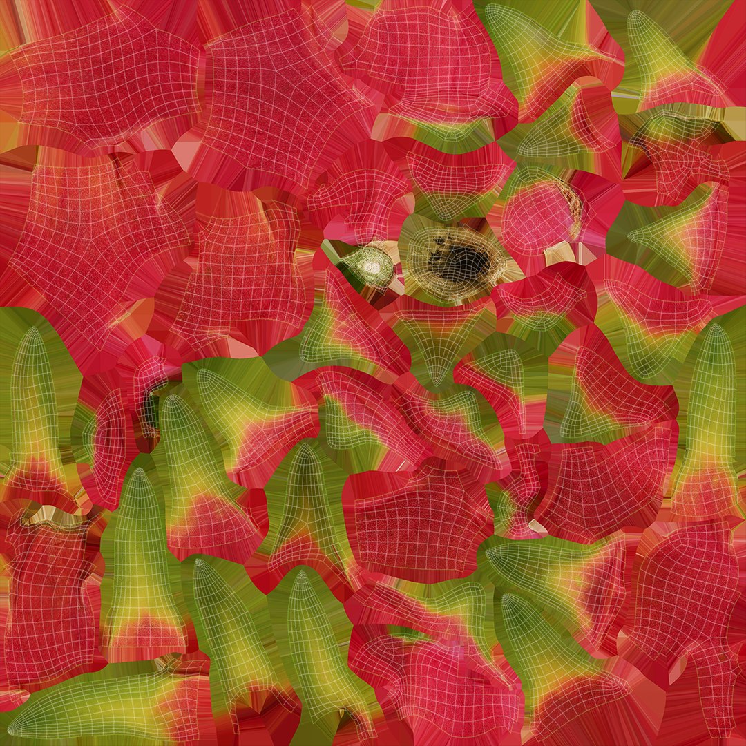 3D Fruit and Half Collection 2 model - TurboSquid 1962068