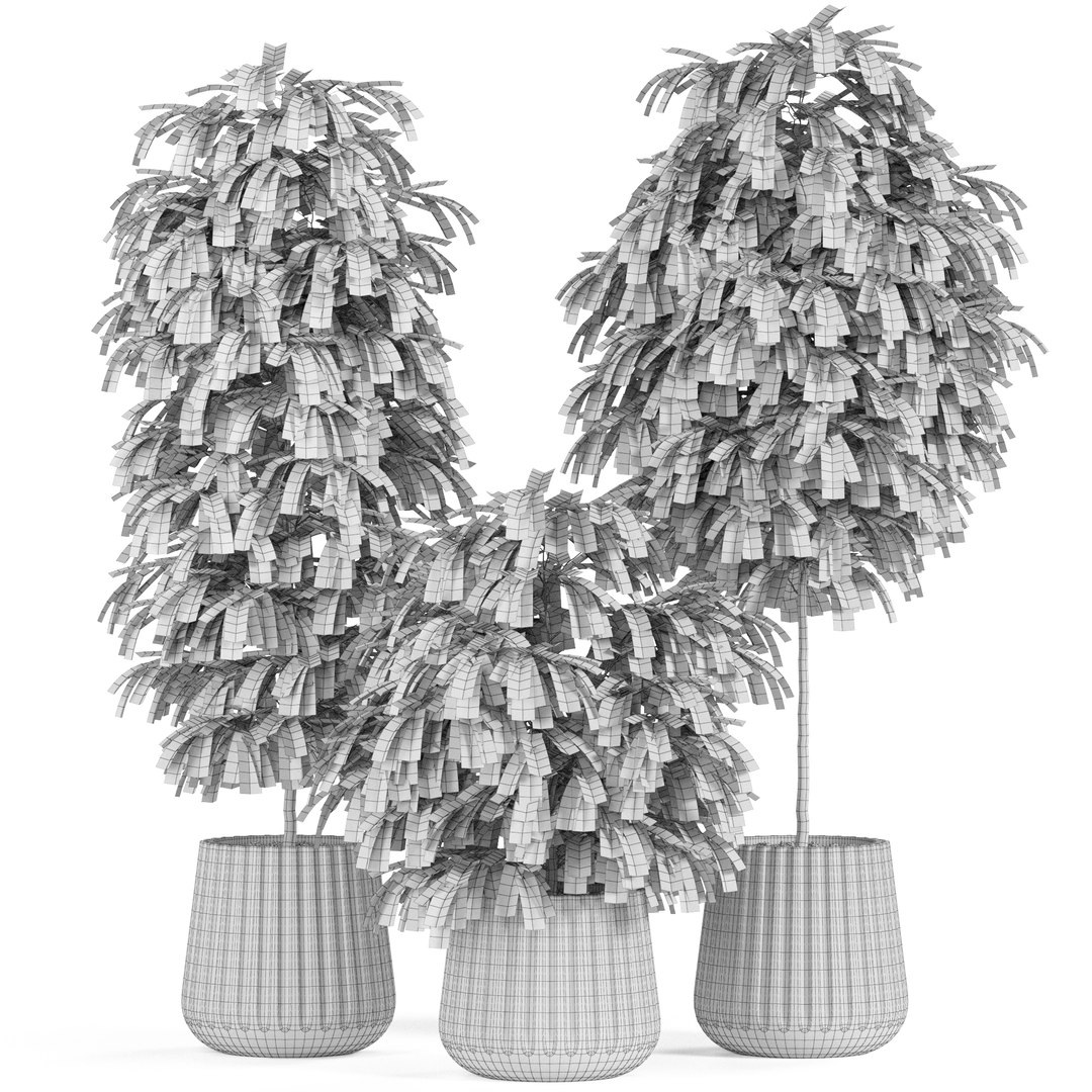 3D Plants Collection 935 Model - TurboSquid 2098832