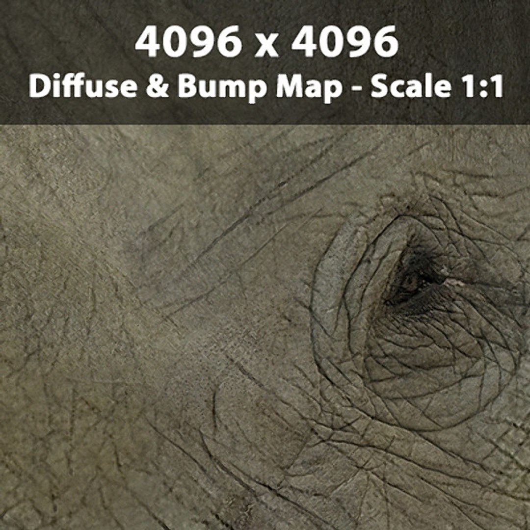 Max Elephant Animation